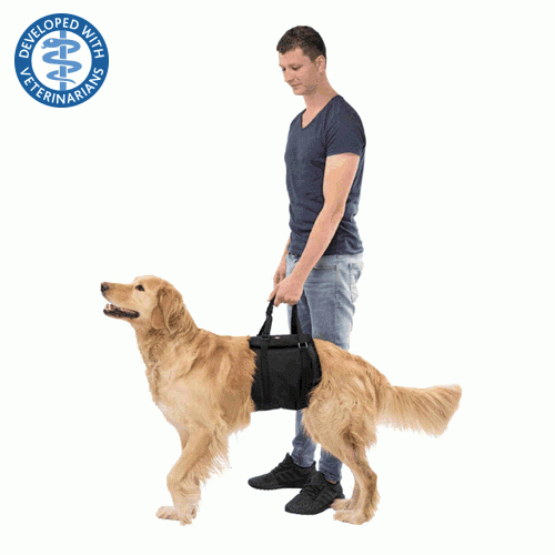 Training Lines > Dog Mobility > Walking and Lifting Mobility Harnesses ...