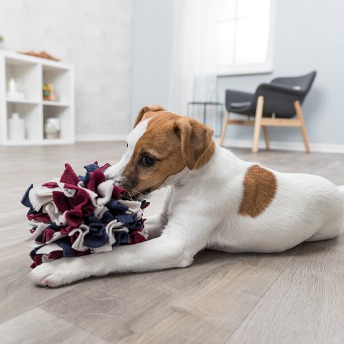 Training Lines > Interactive Play > Treat Dispensing Dog Toys - treat ...